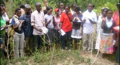 Forest School for Traditional Health Practitioners - PROMETRA Uganda ...