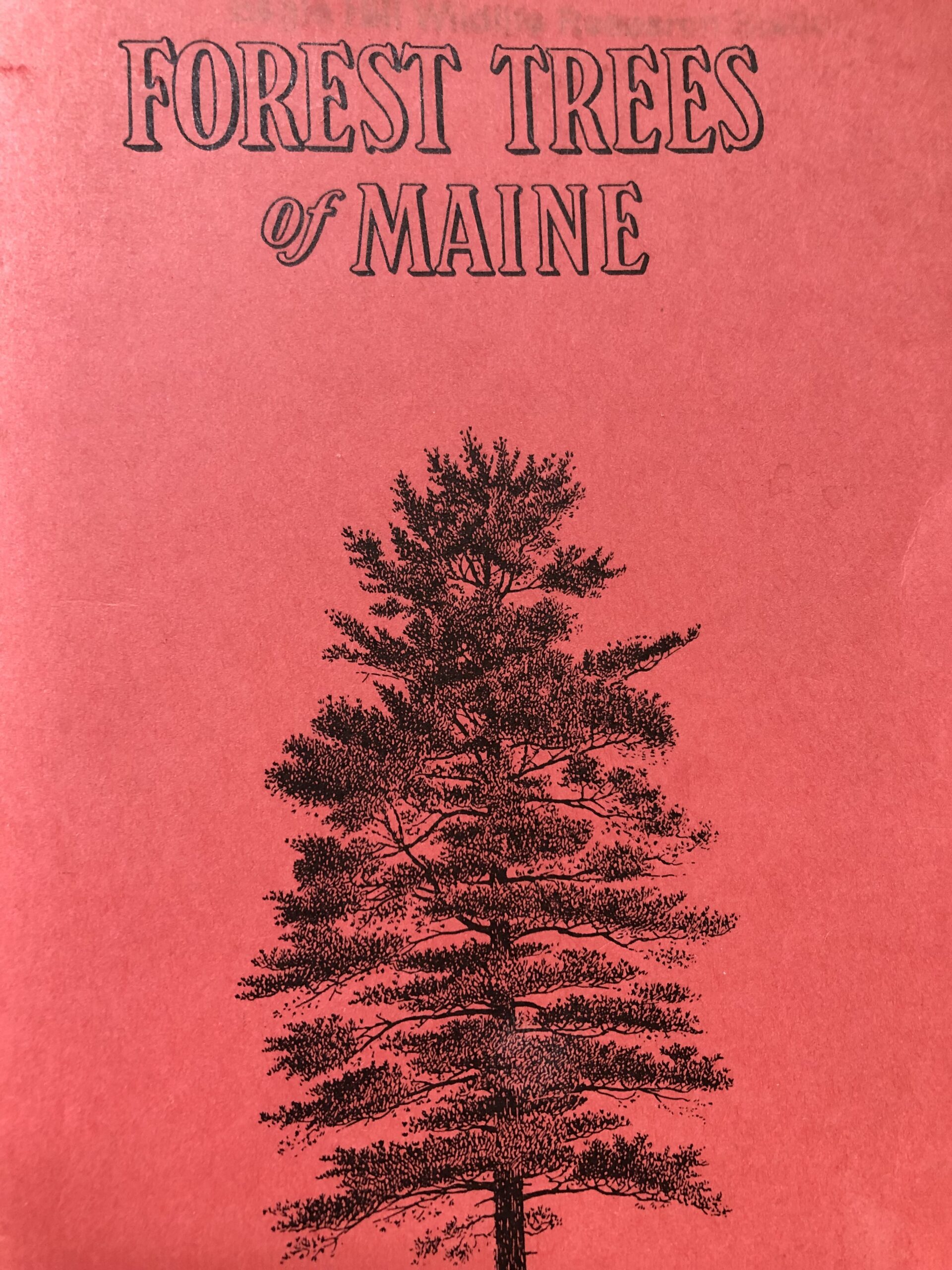 Duke-Archive-Forest-Trees-of-Maine - United Plant Savers