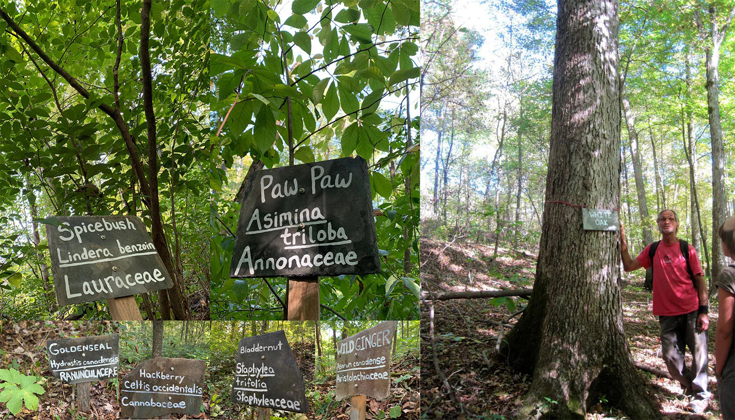 Talking Forest Medicine Trail - United Plant Savers