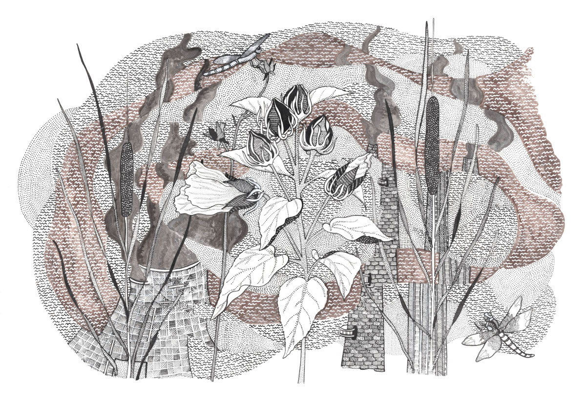 Deep Ecology Artist Fellowship Reflection - United Plant Savers