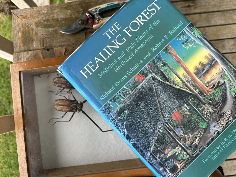 the healing forest book - United Plant Savers